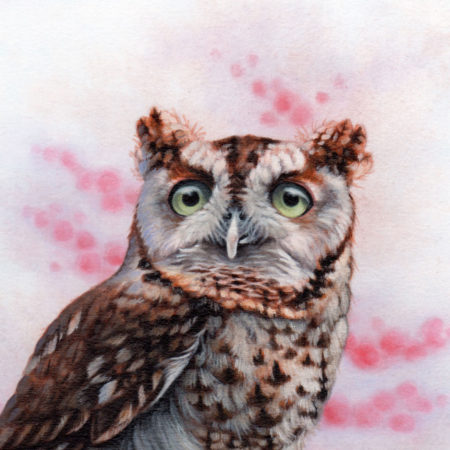 Screech Owl in Winter - Every Day Original