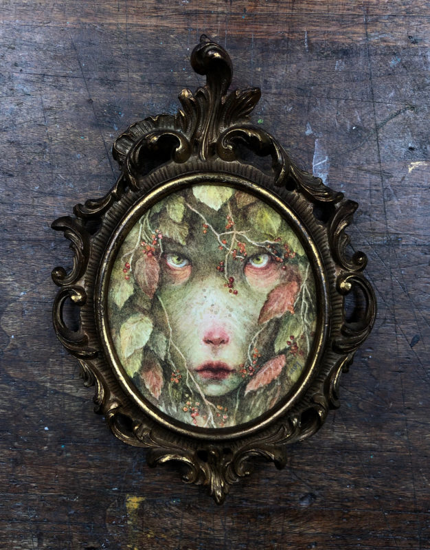 Hedgewitch - Every Day Original