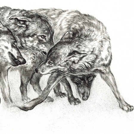 Mowgli - Every Day Original