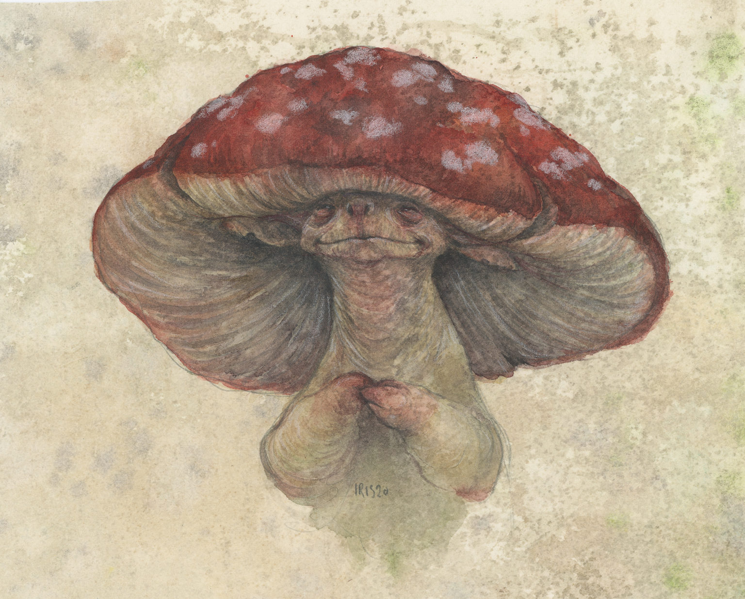Amanita - Original Art by Iris Compiet - Every Day Original