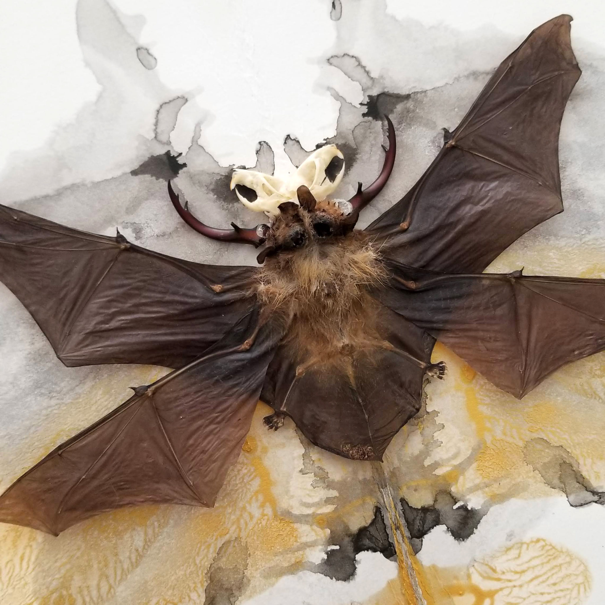 Golden Bat - Every Day Original