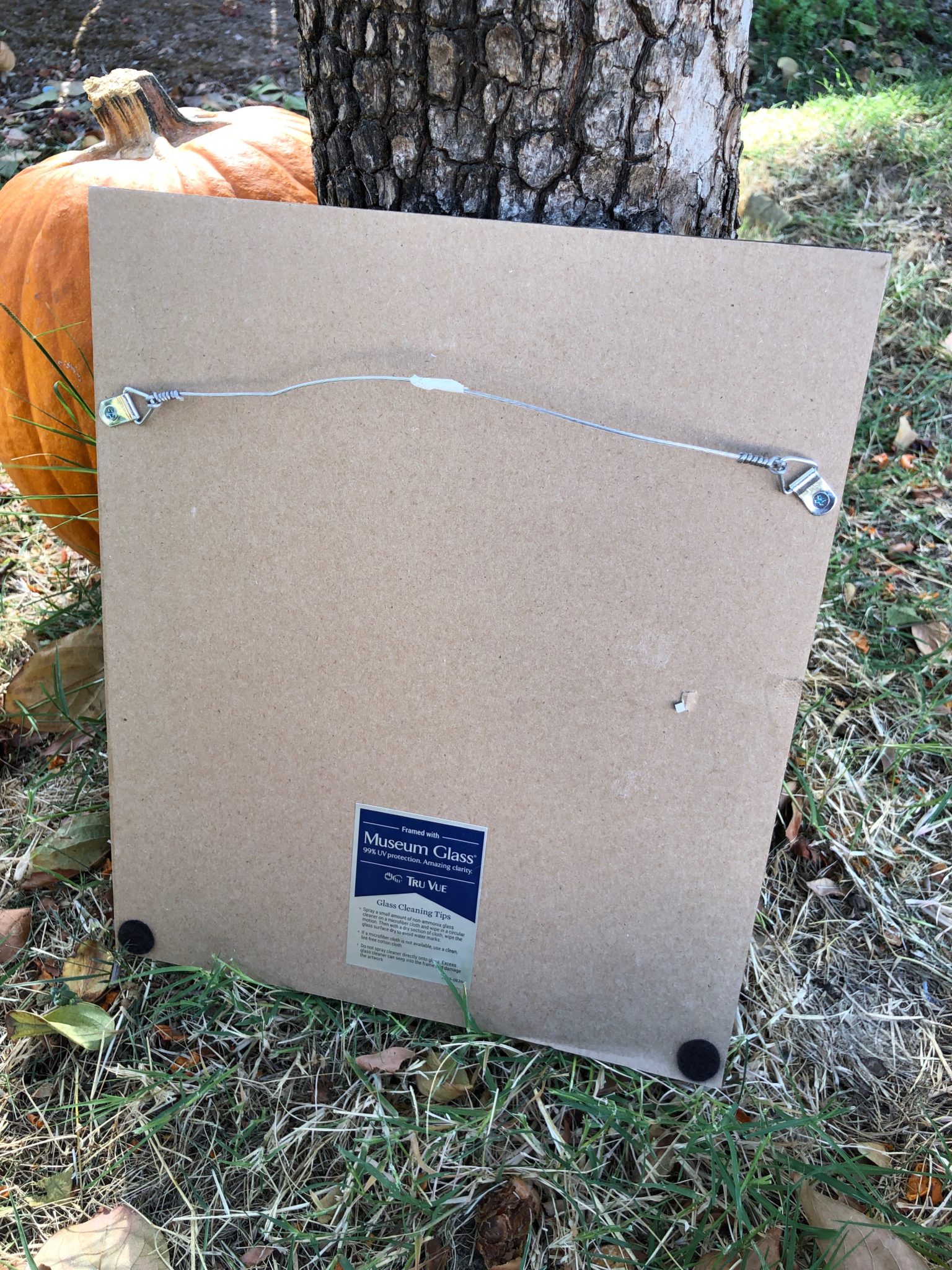 Pumpkin Guard: Repose - Every Day Original
