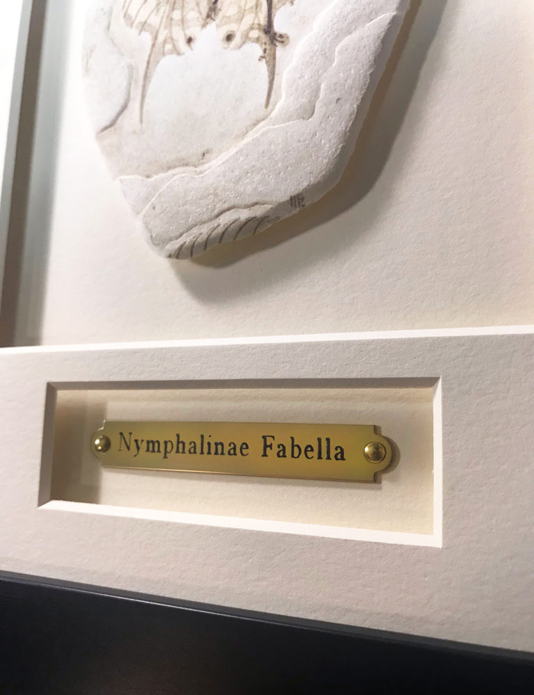 Fairy Fossil Specimen- Original Art by Nicole Grosjean - Every Day Original