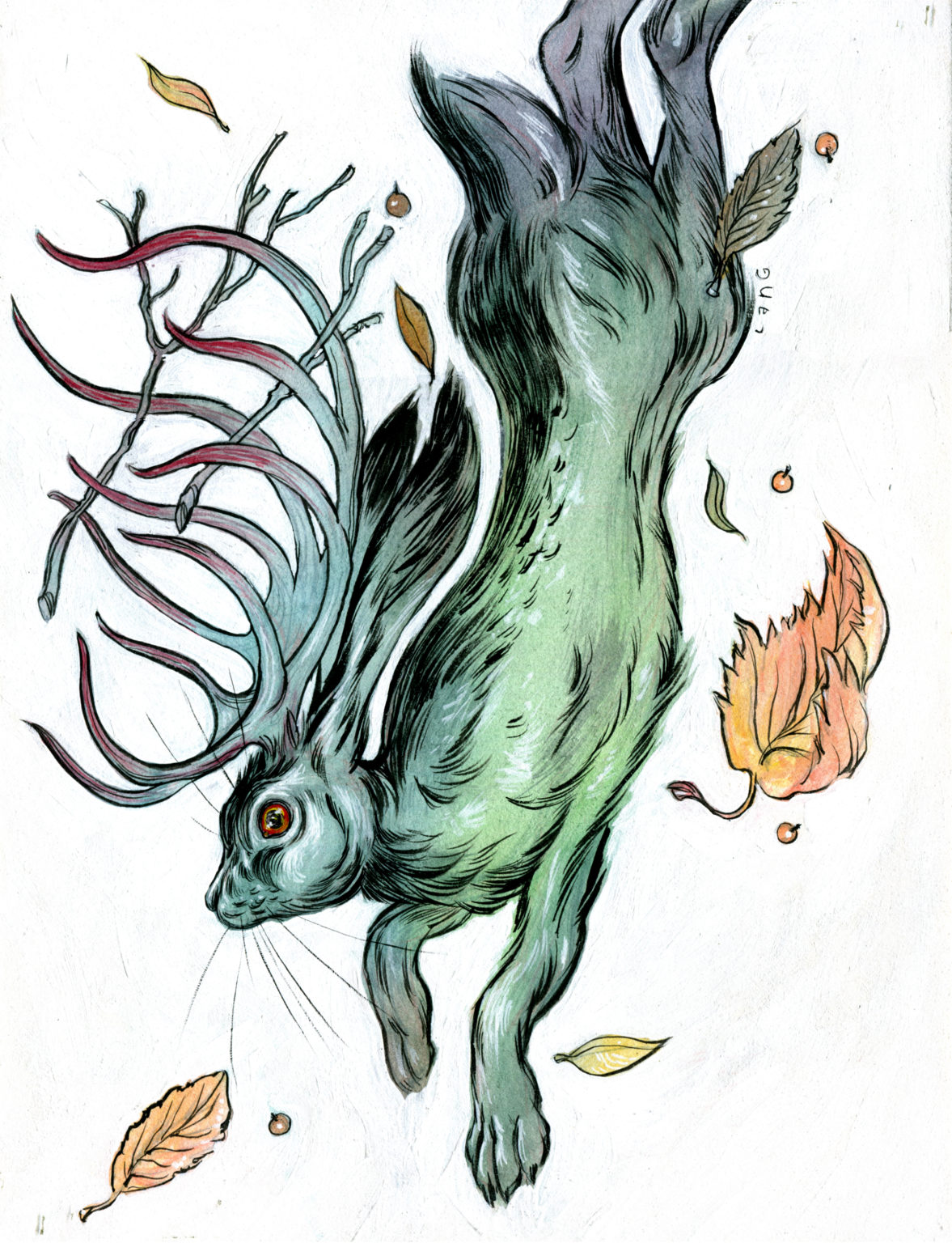 Jackalope Study - Original Art by Elliot Lang - Every Day Original