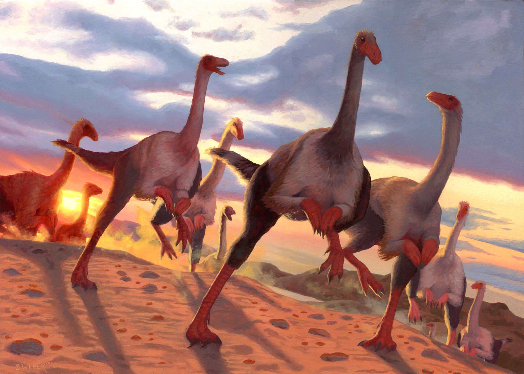 Gallimimus - Every Day Original