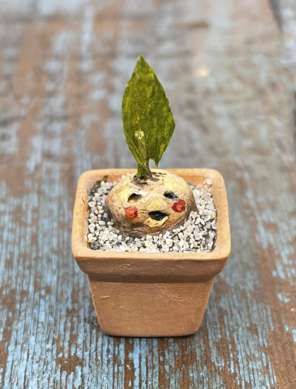 Life Cycle of the Mandrake - Every Day Original