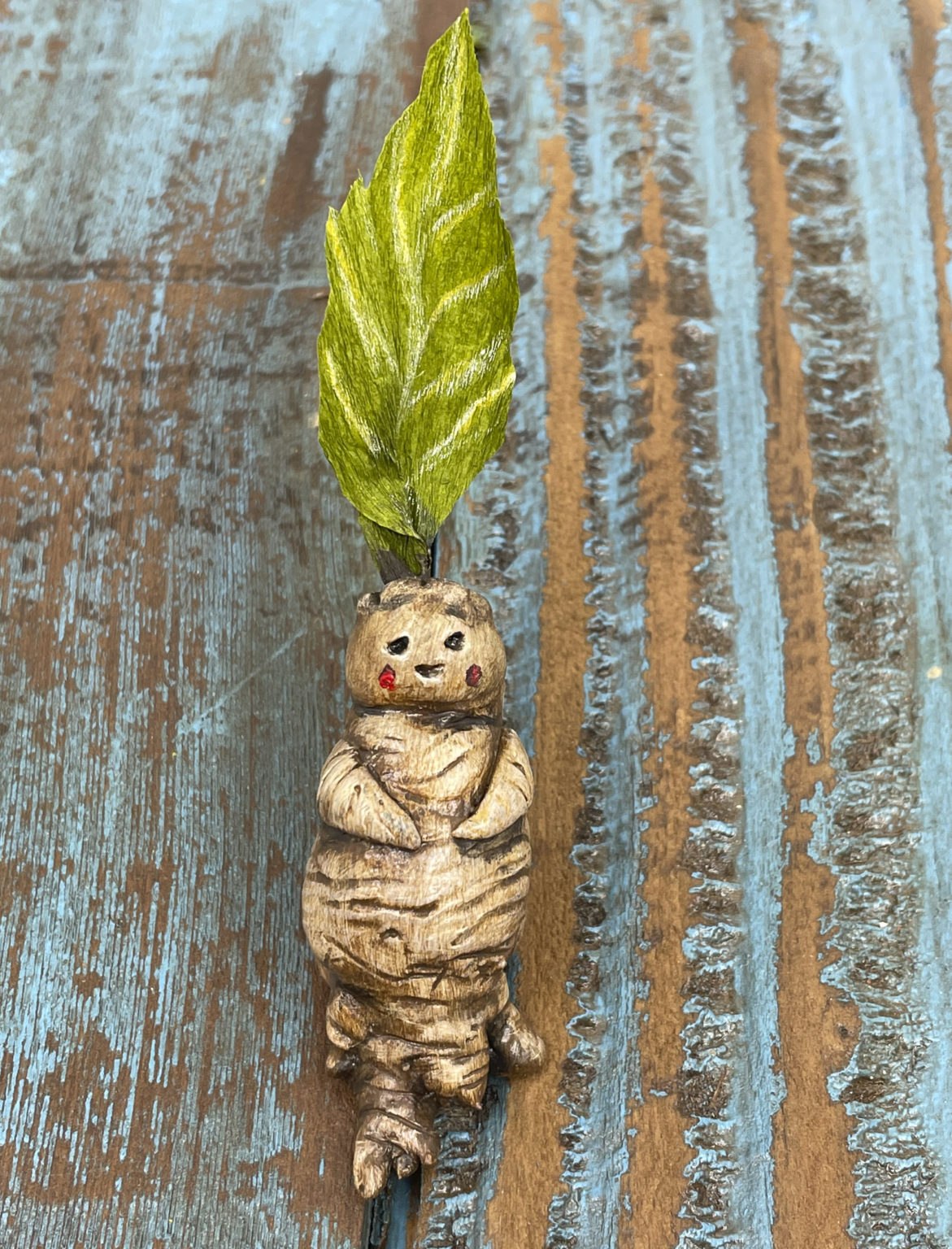 Life Cycle of the Mandrake - Every Day Original