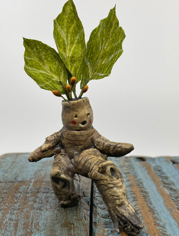 Life Cycle of the Mandrake - Every Day Original