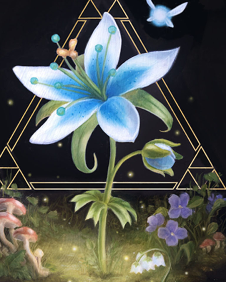 Silent Princess - Every Day Original