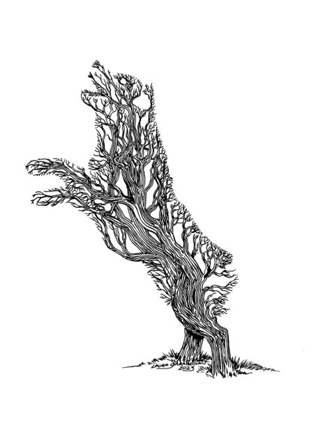 Aussie-Tree- Original Art by Laura Garabedian - Every Day Original