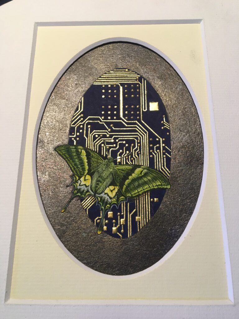 SoMK-Teinopalpus aureus - Original Art by So MK - Every Day Original