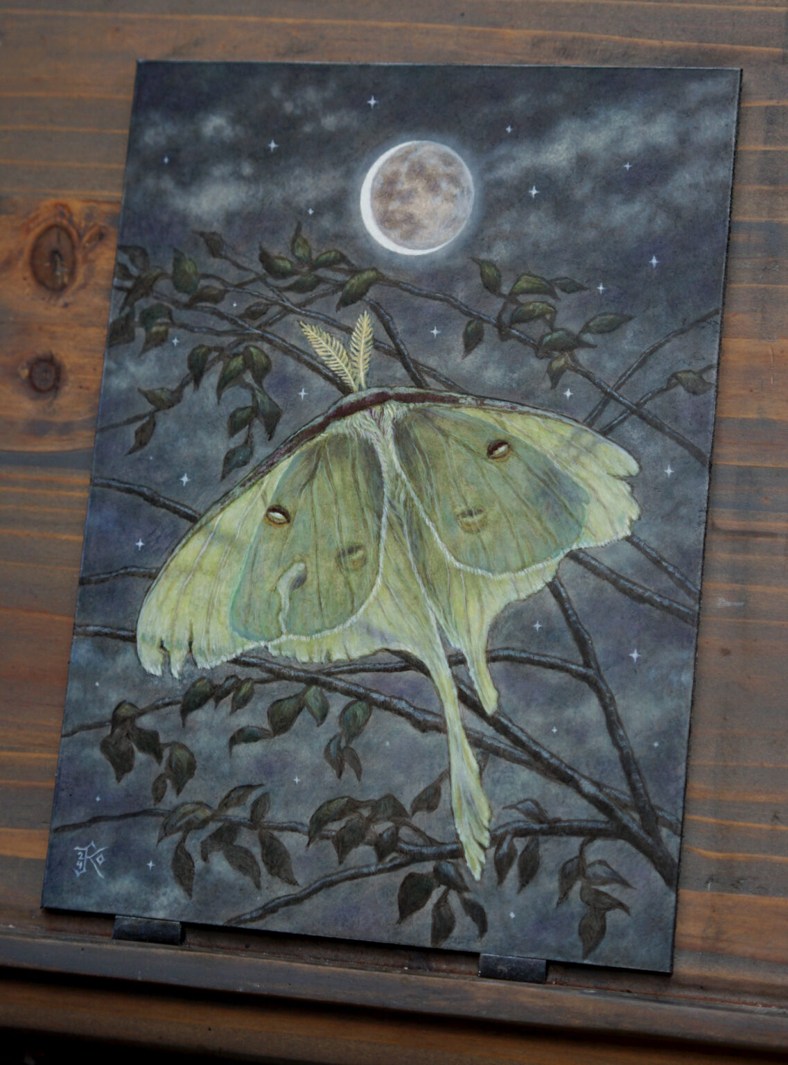 Tattered Luna Moth - Every Day Original