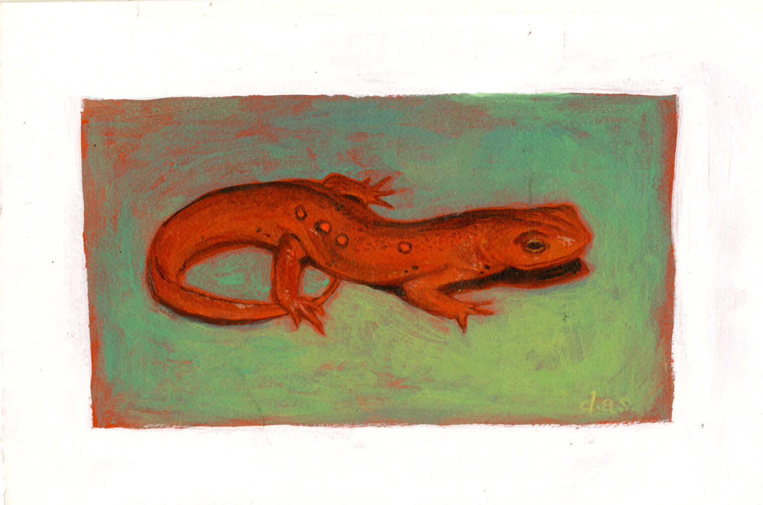 Newt Room - Every Day Original